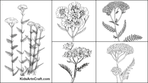 Achillea Millefolium Coloring Pages For Kids – Free Printables - Kids ...