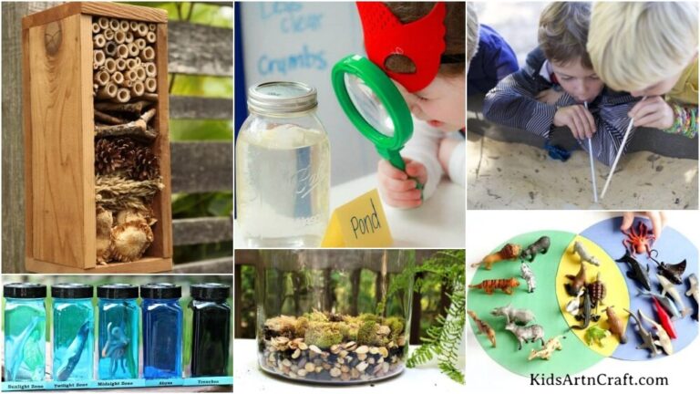 Animal Habitat Projects for Kids - Kids Art & Craft