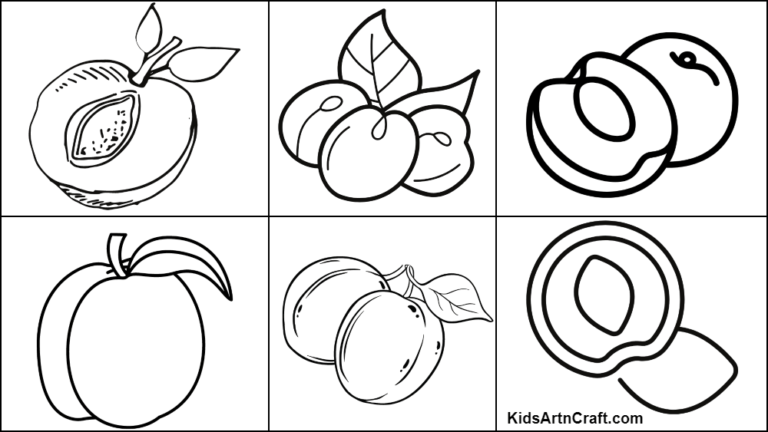 Apricot Coloring Pages For Kids – Free Printables - Kids Art & Craft