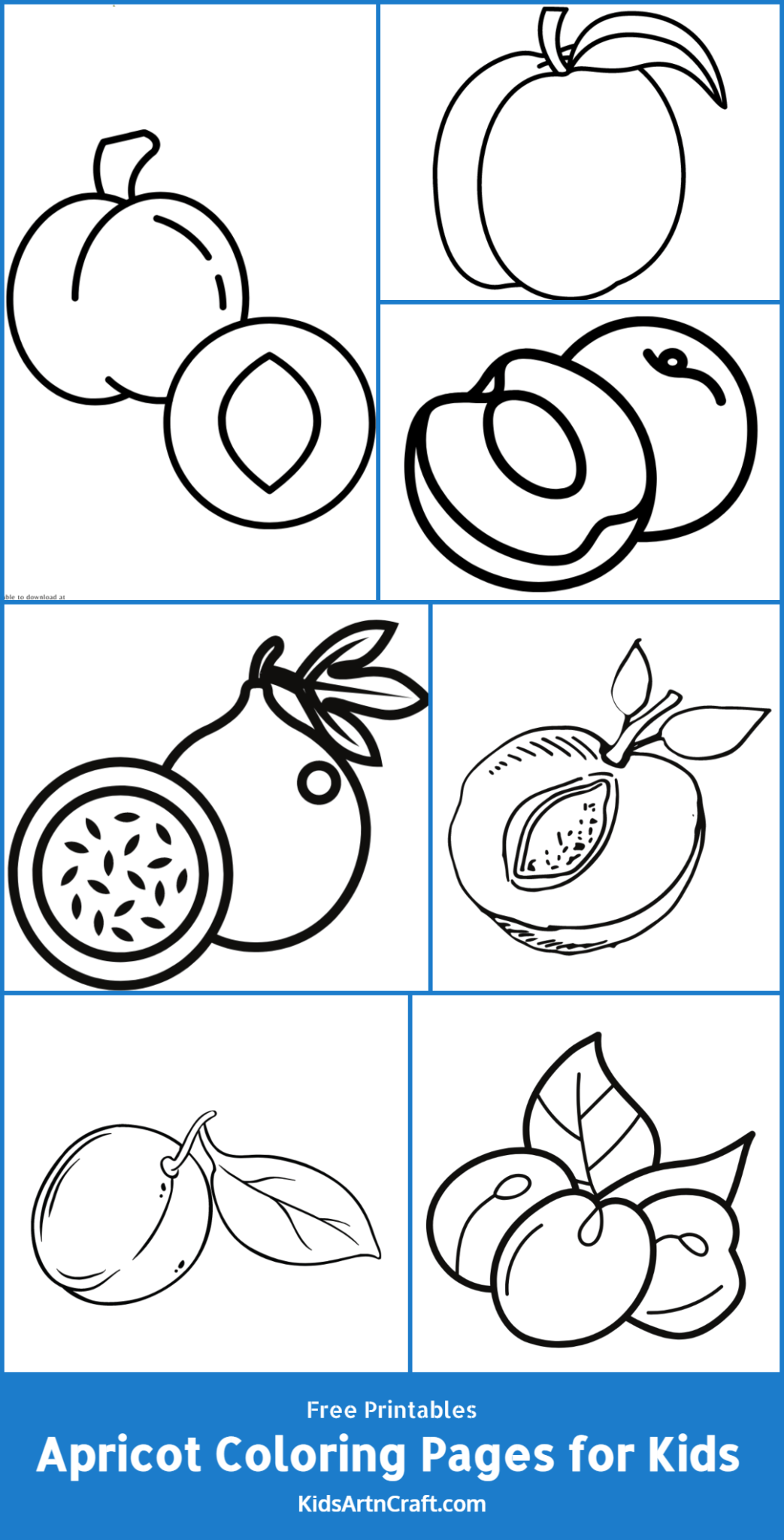 Apricot Coloring Pages For Kids – Free Printables - Kids Art & Craft