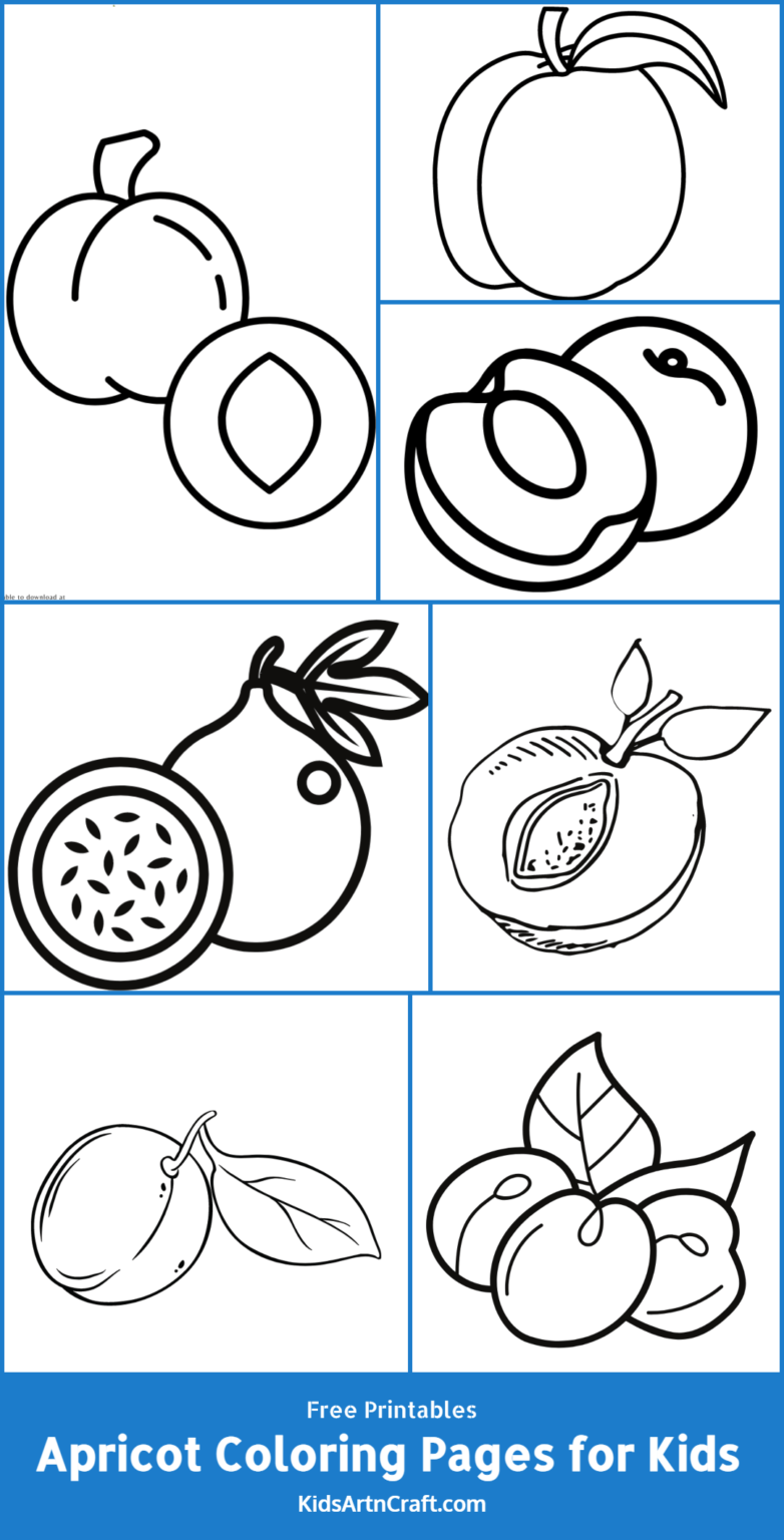 Apricot Coloring Pages For Kids – Free Printables - Kids Art & Craft
