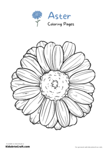 Aster Coloring Pages For Kids – Free Printables - Kids Art & Craft