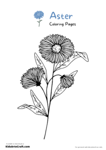 Aster Coloring Pages For Kids – Free Printables - Kids Art & Craft