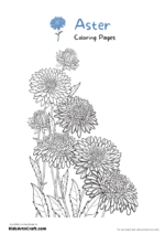 Aster Coloring Pages For Kids – Free Printables - Kids Art & Craft