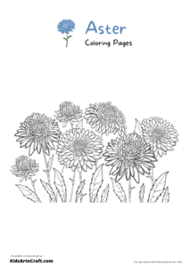 Aster Coloring Pages For Kids – Free Printables - Kids Art & Craft