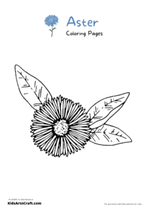 Aster Coloring Pages For Kids – Free Printables - Kids Art & Craft