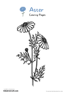 Aster Coloring Pages For Kids – Free Printables - Kids Art & Craft