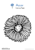Aster Coloring Pages For Kids – Free Printables - Kids Art & Craft