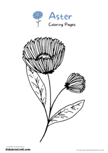 Aster Coloring Pages For Kids – Free Printables - Kids Art & Craft