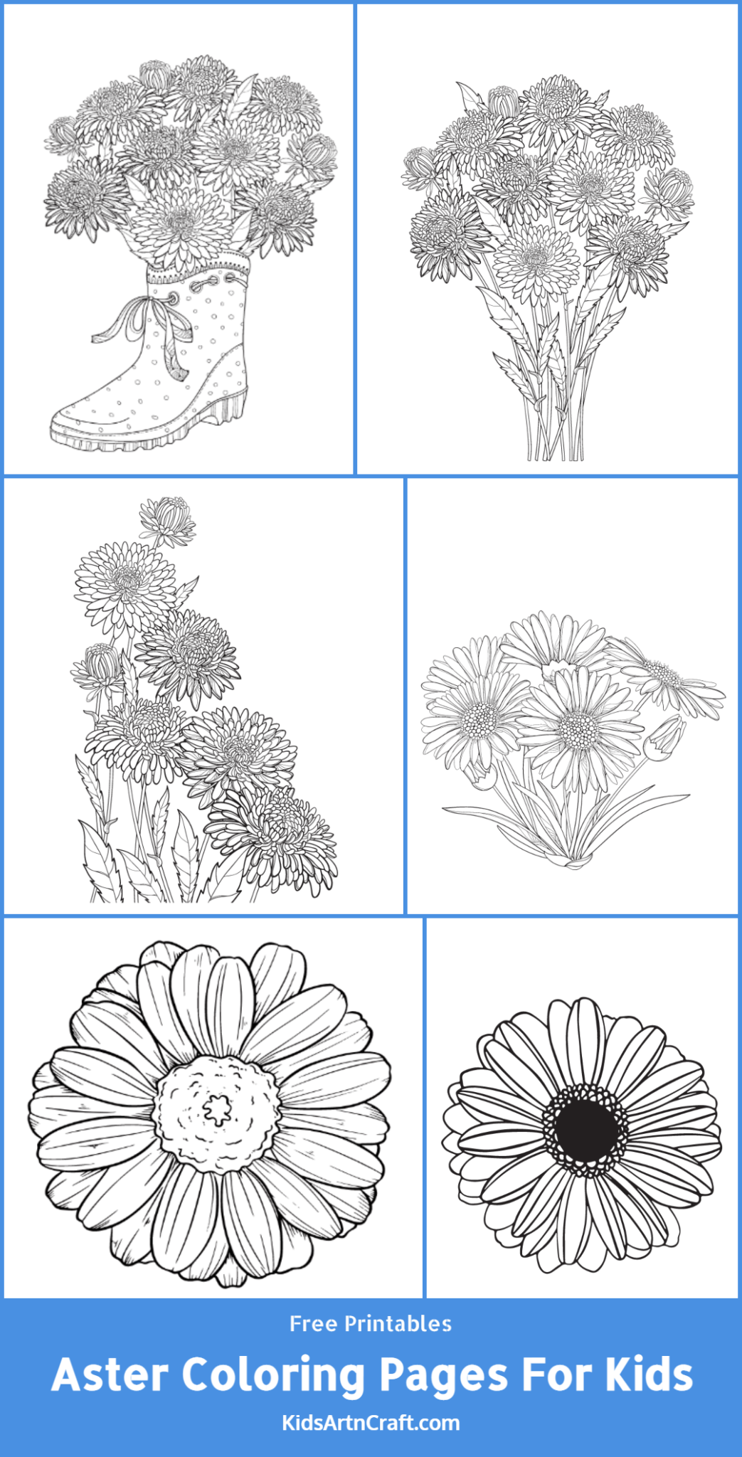 Aster Coloring Pages For Kids – Free Printables - Kids Art & Craft