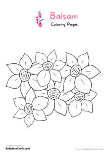 Balsam Coloring Pages For Kids – Free Printables - Kids Art & Craft