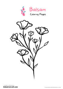 Balsam Coloring Pages For Kids – Free Printables - Kids Art & Craft