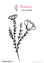 Balsam Coloring Pages For Kids – Free Printables - Kids Art & Craft
