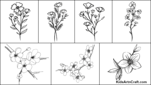 Balsam Coloring Pages For Kids – Free Printables - Kids Art & Craft