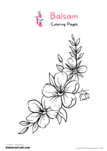 Balsam Coloring Pages For Kids – Free Printables - Kids Art & Craft