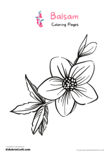 Balsam Coloring Pages For Kids – Free Printables - Kids Art & Craft