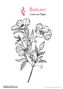 Balsam Coloring Pages For Kids – Free Printables - Kids Art & Craft