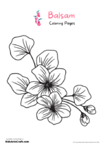 Balsam Coloring Pages For Kids – Free Printables - Kids Art & Craft