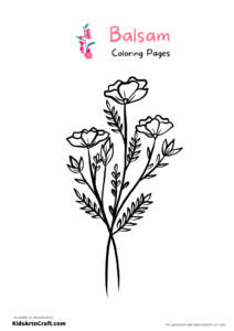 Balsam Coloring Pages For Kids – Free Printables - Kids Art & Craft
