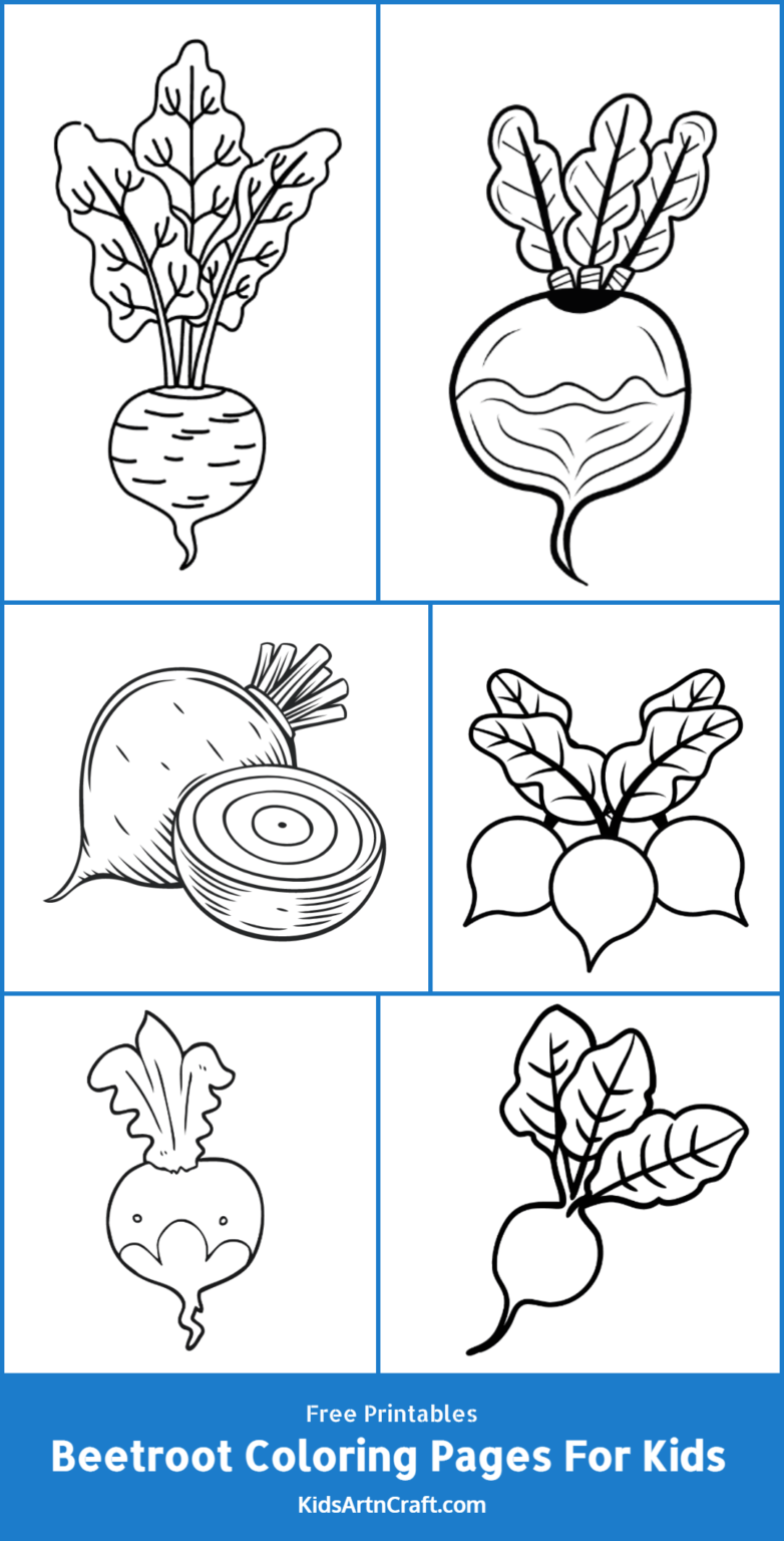 Beetroot Coloring Pages For Kids – Free Printables - Kids Art & Craft