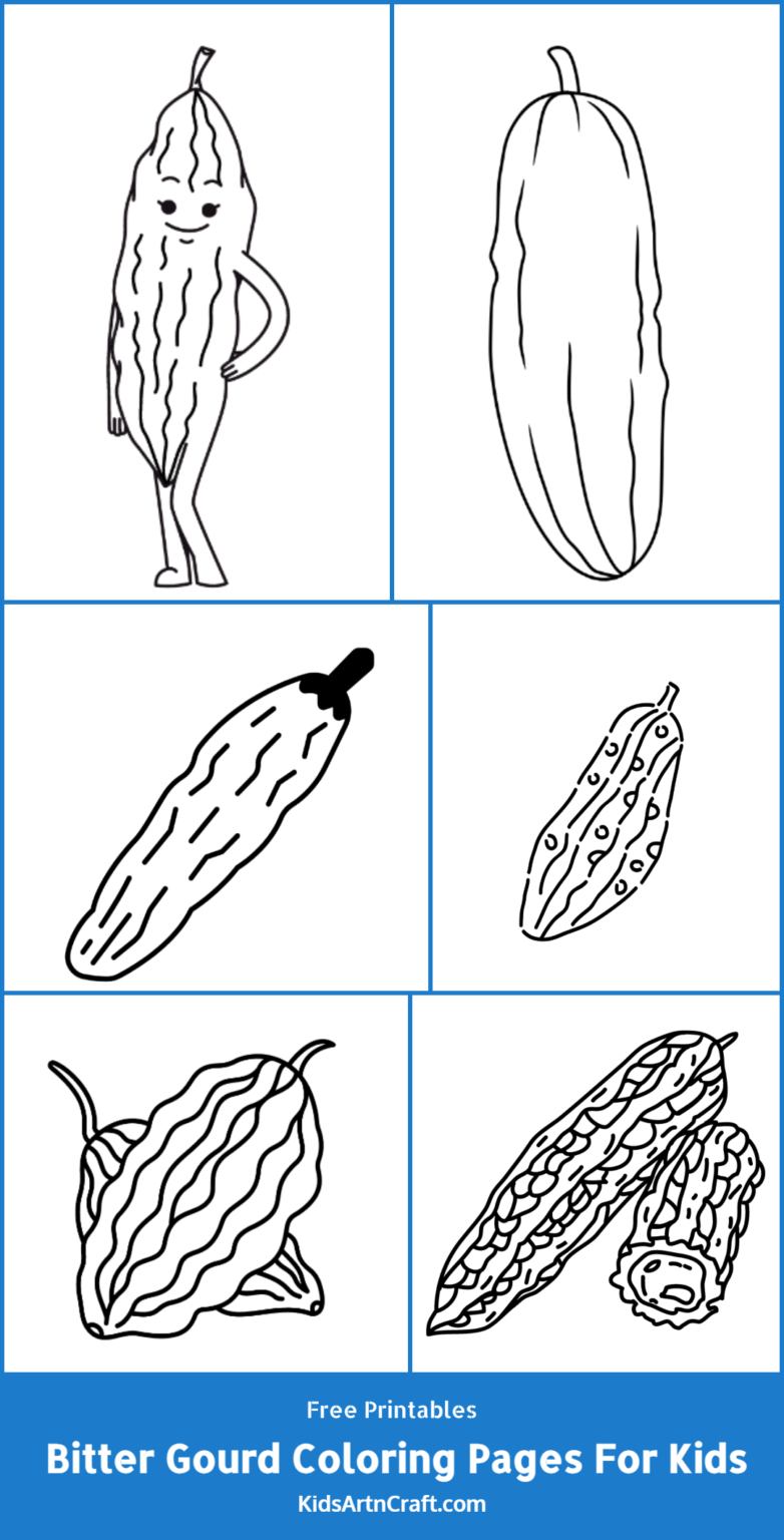Bitter Gourd Coloring Pages For Kids – Free Printables - Kids Art & Craft
