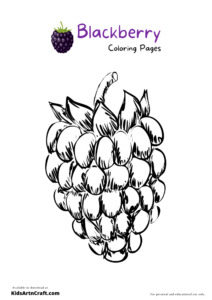 Blackberry Coloring Pages For Kids – Free Printables - Kids Art & Craft