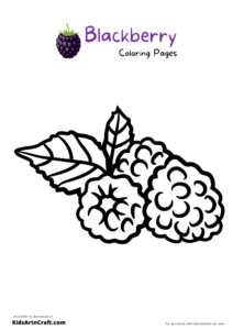 Blackberry Coloring Pages For Kids – Free Printables - Kids Art & Craft
