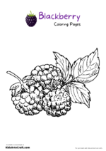 Blackberry Coloring Pages For Kids – Free Printables - Kids Art & Craft