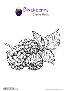 Blackberry Coloring Pages For Kids – Free Printables - Kids Art & Craft