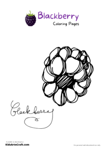 Blackberry Coloring Pages For Kids – Free Printables - Kids Art & Craft