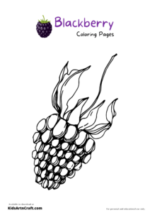Blackberry Coloring Pages For Kids – Free Printables - Kids Art & Craft