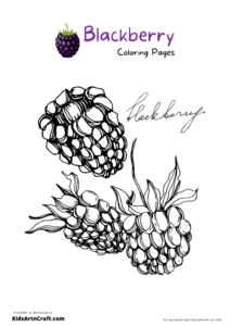 Blackberry Coloring Pages For Kids – Free Printables - Kids Art & Craft