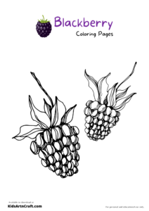 Blackberry Coloring Pages For Kids – Free Printables - Kids Art & Craft