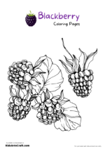 Blackberry Coloring Pages For Kids – Free Printables - Kids Art & Craft