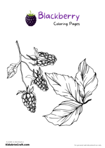 Blackberry Coloring Pages For Kids – Free Printables - Kids Art & Craft