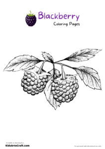 Blackberry Coloring Pages For Kids – Free Printables - Kids Art & Craft