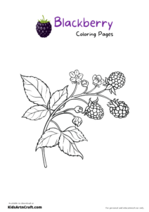 Blackberry Coloring Pages For Kids – Free Printables - Kids Art & Craft