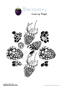 Blackberry Coloring Pages For Kids – Free Printables - Kids Art & Craft