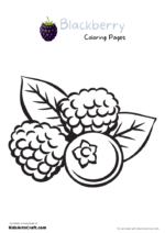 Blackberry Coloring Pages For Kids – Free Printables - Kids Art & Craft