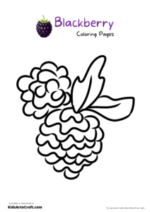 Blackberry Coloring Pages For Kids – Free Printables - Kids Art & Craft