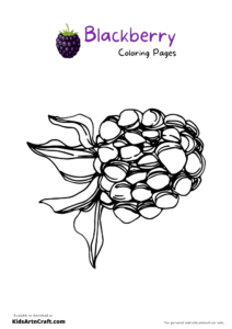 Blackberry Coloring Pages For Kids – Free Printables - Kids Art & Craft