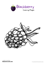 Blackberry Coloring Pages For Kids – Free Printables - Kids Art & Craft
