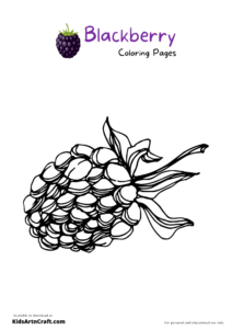 Blackberry Coloring Pages For Kids – Free Printables - Kids Art & Craft