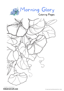 Blue Morning Glory Coloring Pages For Kids – Free Printables - Kids Art ...