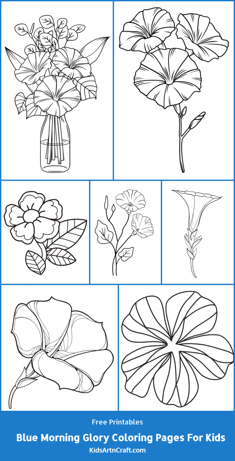 Blue Morning Glory Coloring Pages For Kids – Free Printables - Kids Art ...