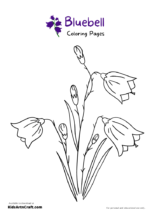Bluebell Coloring Pages For Kids – Free Printables - Kids Art & Craft