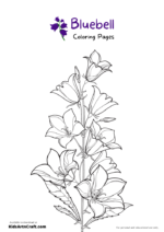 Bluebell Coloring Pages For Kids – Free Printables - Kids Art & Craft
