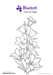 Bluebell Coloring Pages For Kids – Free Printables - Kids Art & Craft