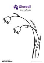 Bluebell Coloring Pages For Kids – Free Printables - Kids Art & Craft