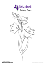 Bluebell Coloring Pages For Kids – Free Printables - Kids Art & Craft